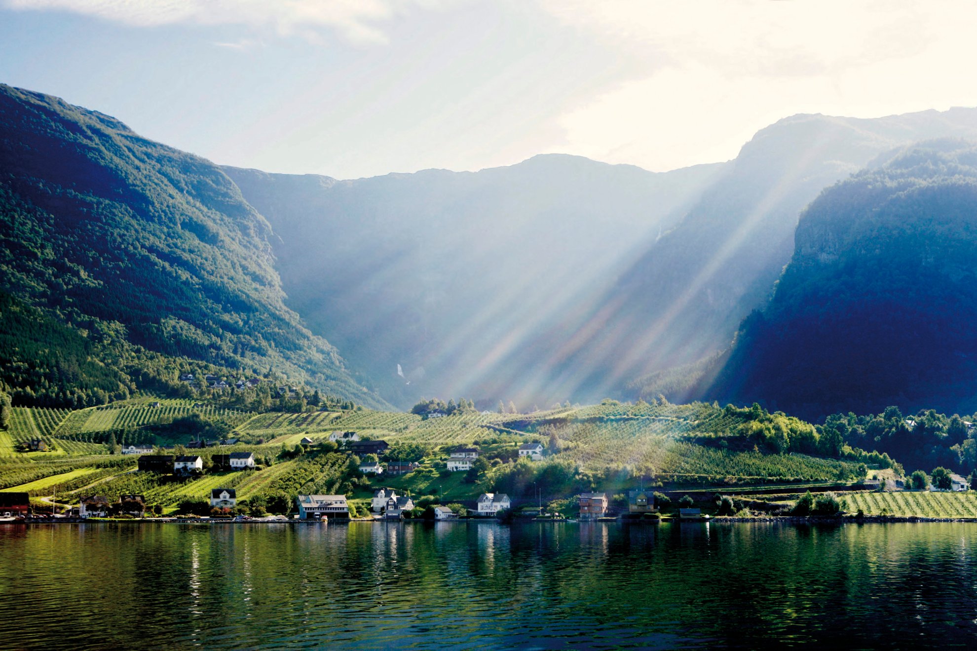 How our climate creates intense flavour